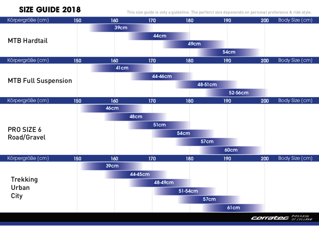 Road Race Full Carbon Disk - Rodoscycling - Bike Rentals